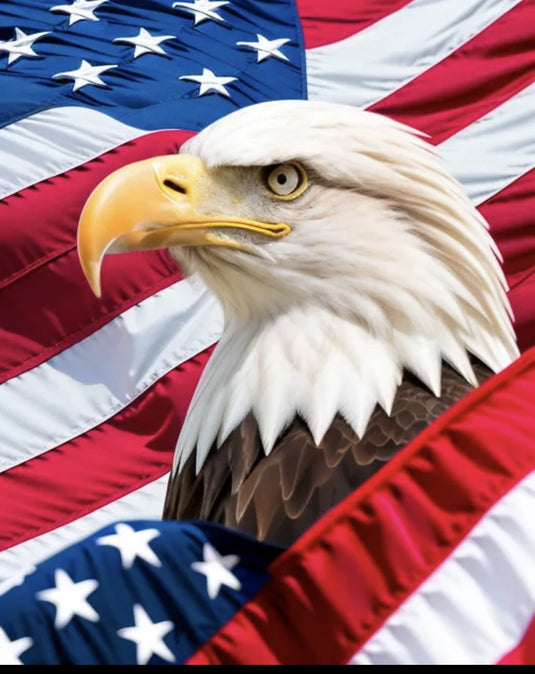 Rising Eagle Emergency and Survival Outfitter – Rising Eagle Syndicate